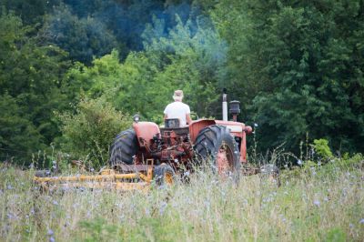Reliable Precision Brush Hogging for Overgrown Land